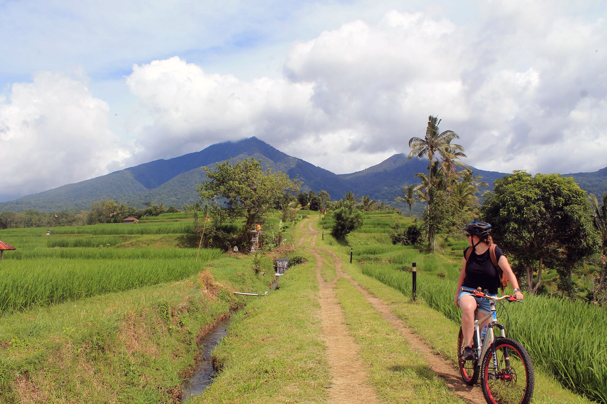 Bali Moon Bike - Feel Bali Nature with the Bikes